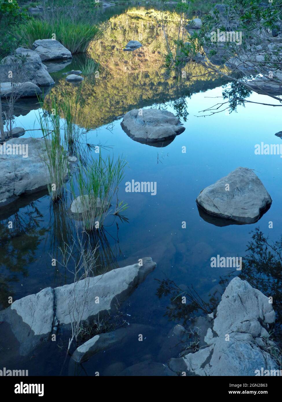 Early morning reflections in upper reach,. Clarence River, northern New ...