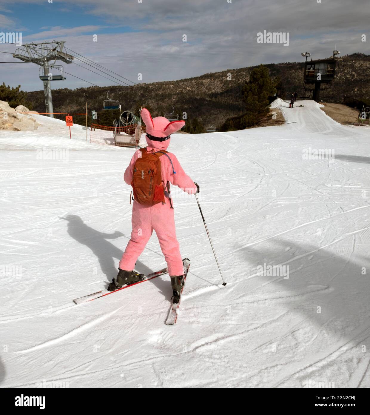 Ski Bunny Costume