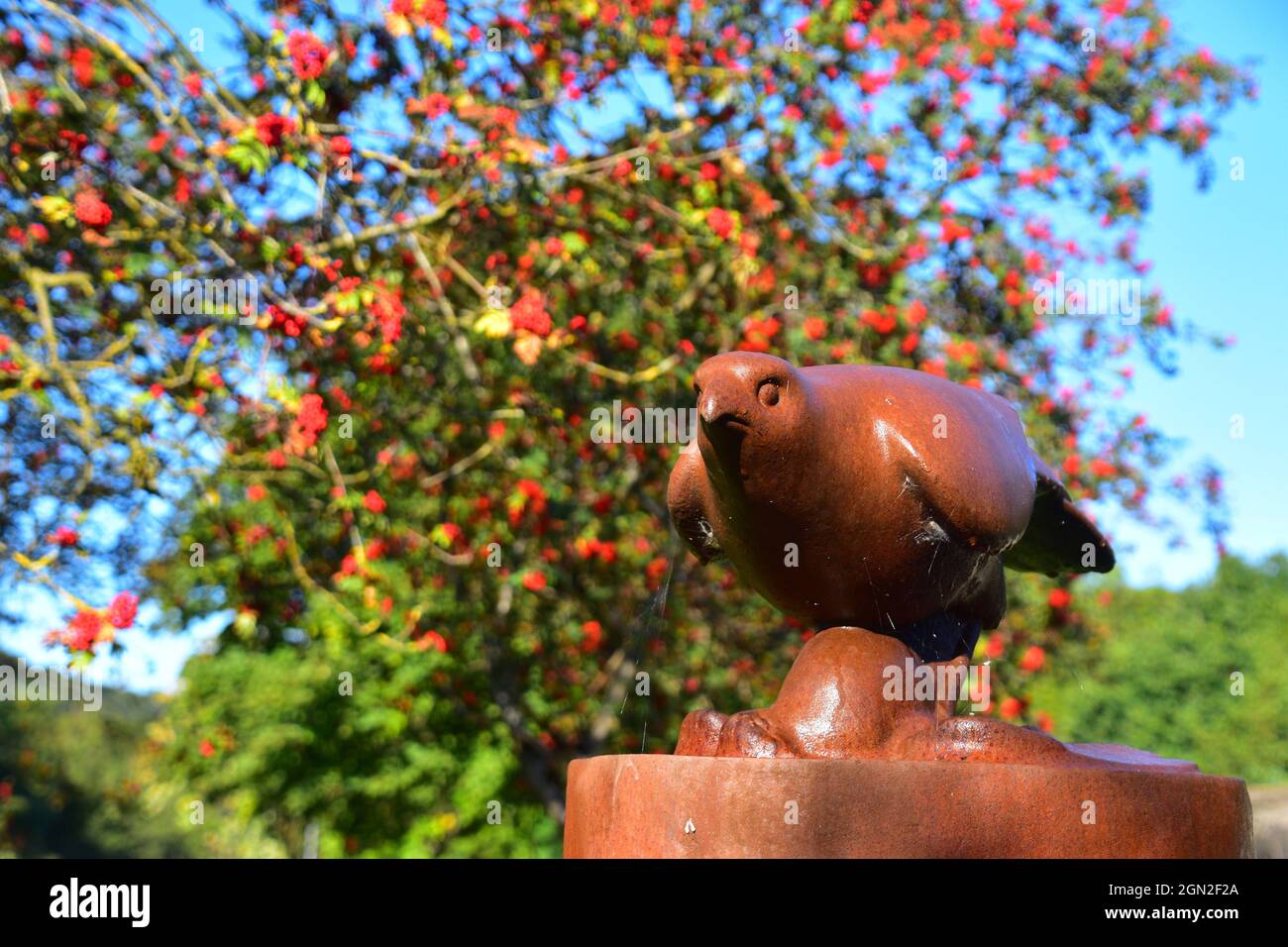 Hawk roosting poem hi-res stock photography and images - Alamy