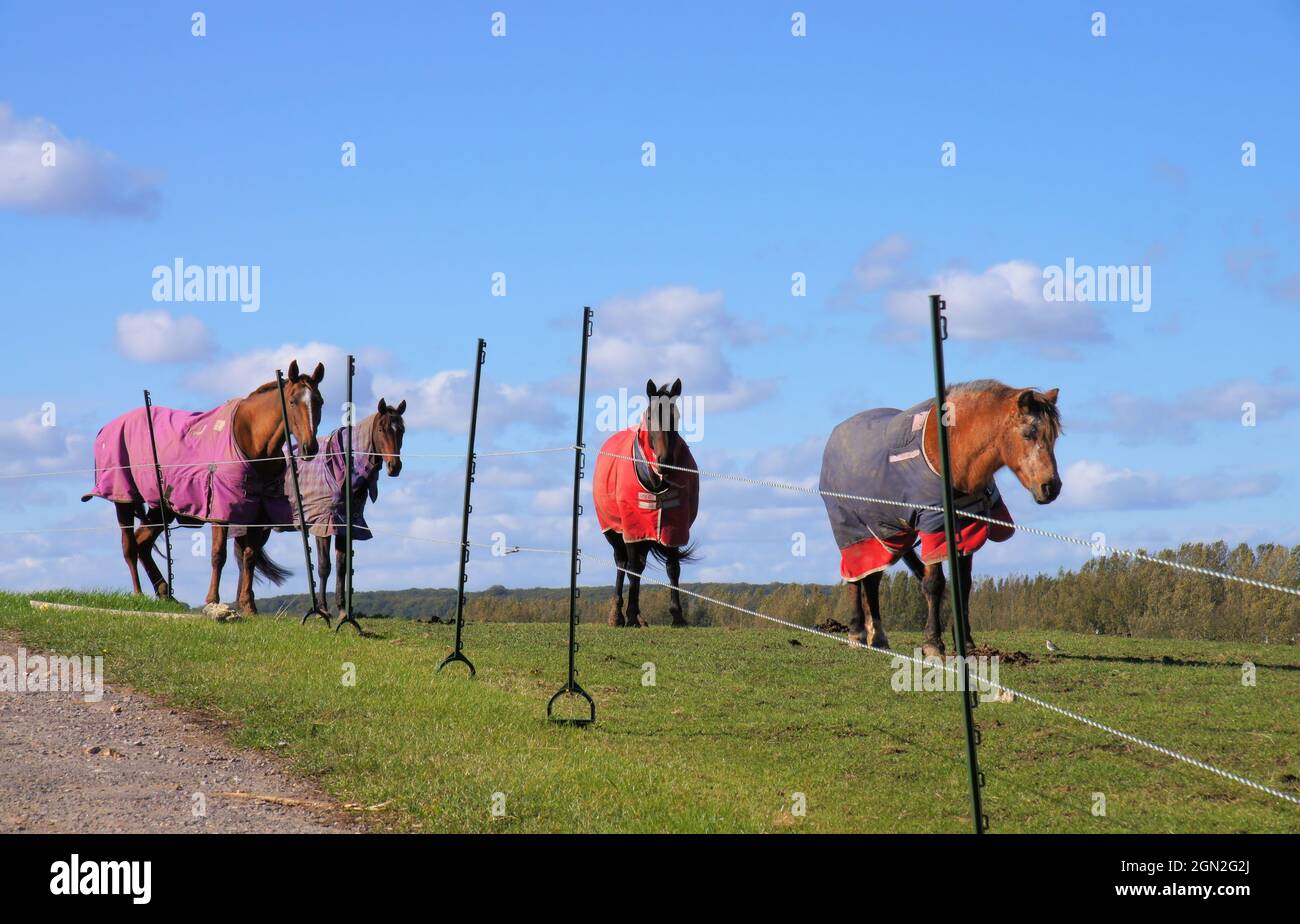 Bright coloured coats hi-res stock photography and images - Alamy