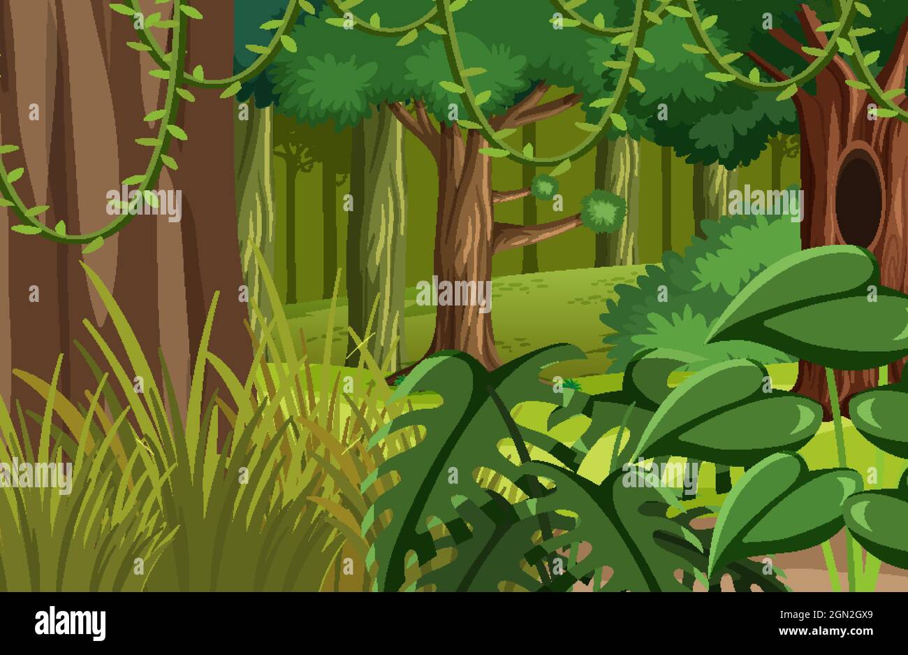 Green jungle nature landscape illustration Stock Vector Image & Art - Alamy