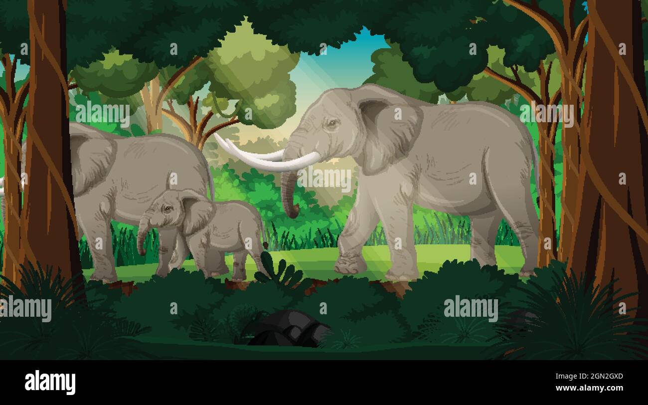 Wild animals in forest landscape background illustration Stock Vector ...