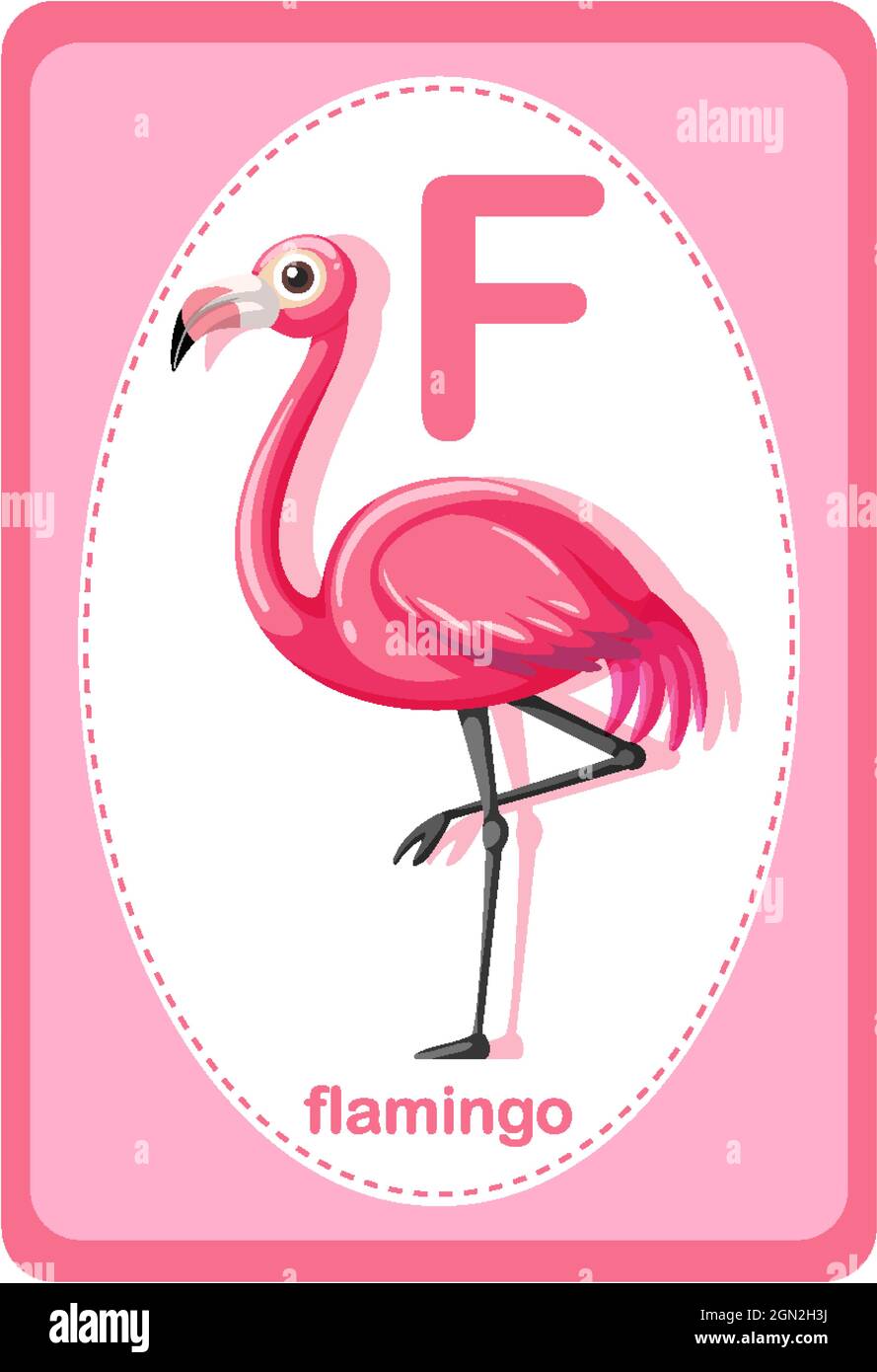 Alphabet flashcard with letter For Flamingo illustration Stock Vector ...