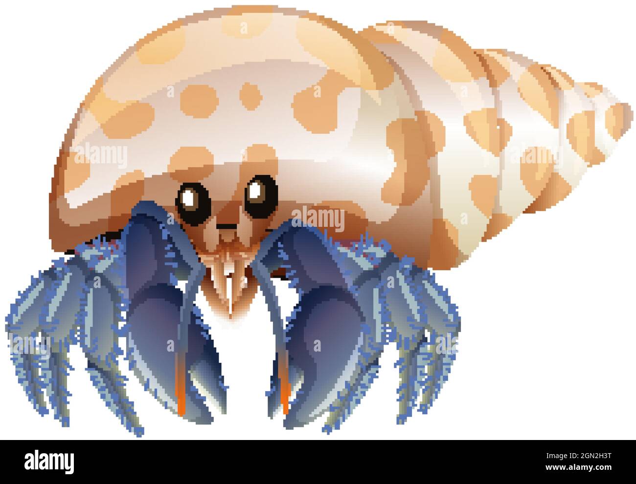 Hermit Crab in cartoon style on white background illustration Stock ...