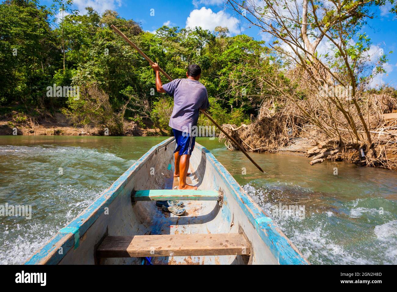 A panamanian man in a dugout canoe is travelling upwards Rio Pequeni ...