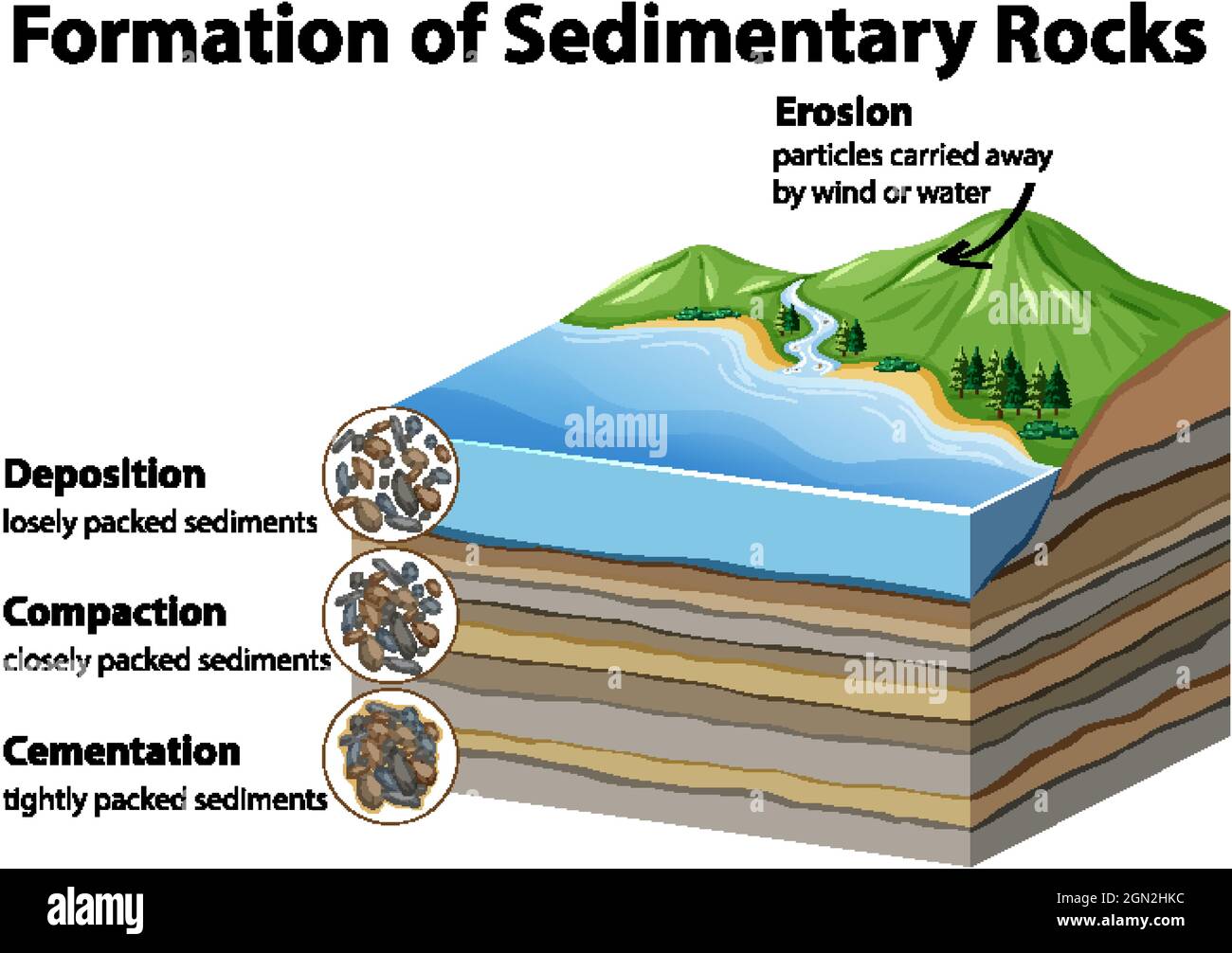 Formation of sedimentary rocks illustration Stock Vector Image & Art ...