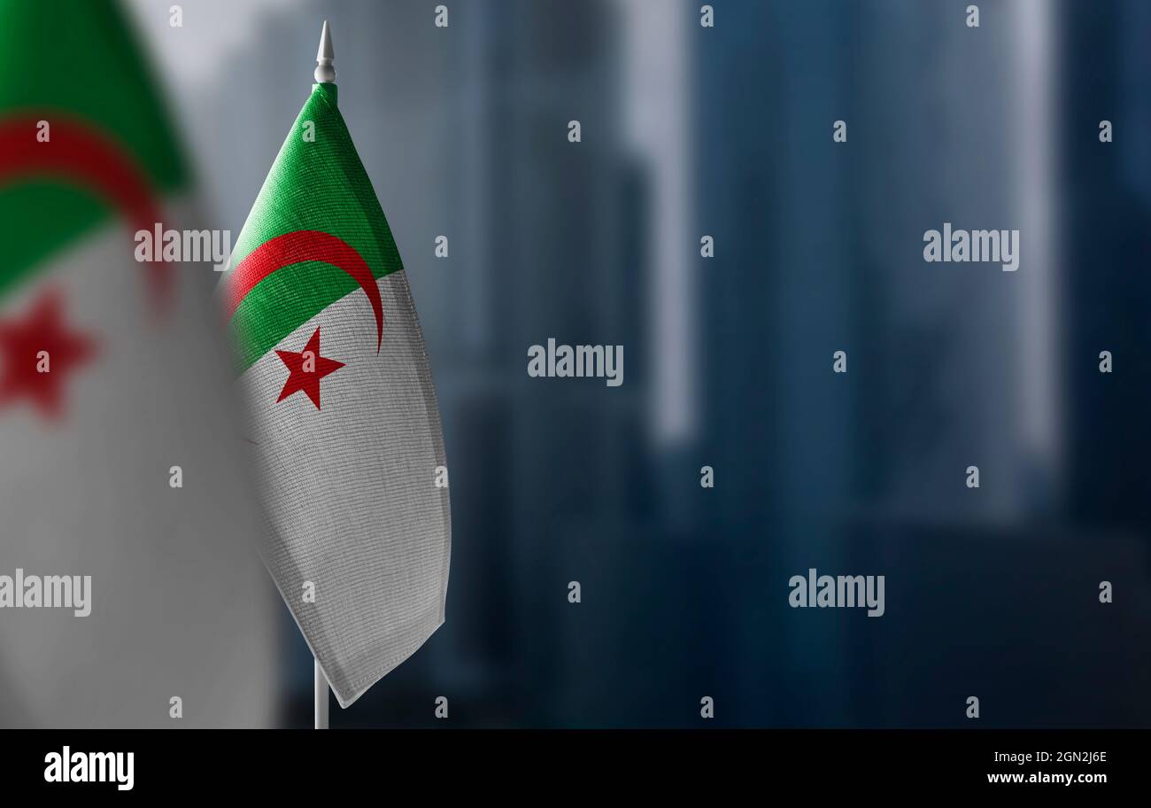 Small flags of Algeria on a blurry background of the city Stock Photo ...