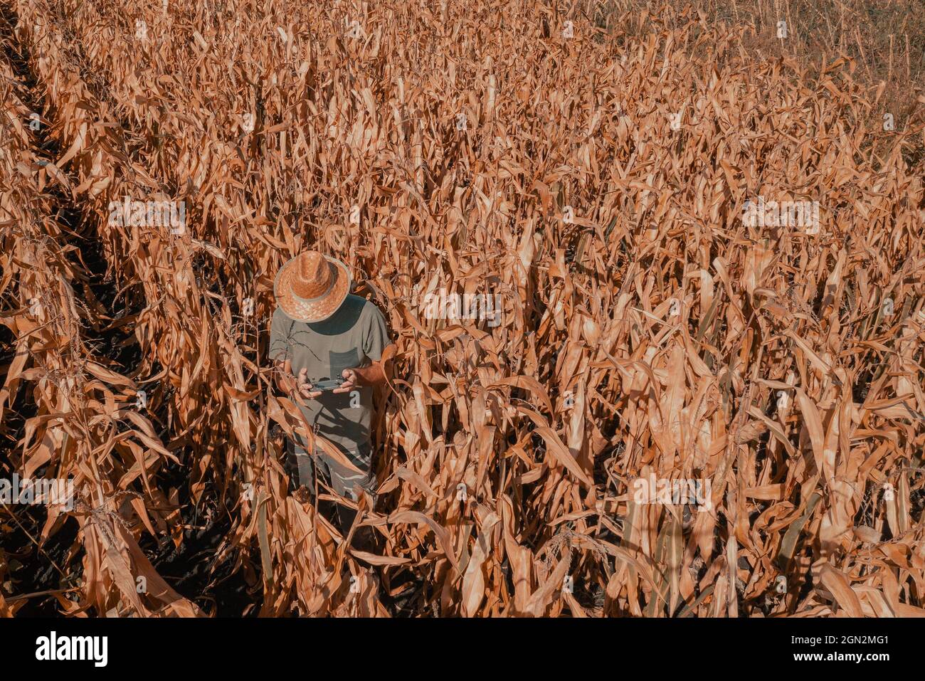 Drone shot farm ready hi-res stock photography and images - Alamy