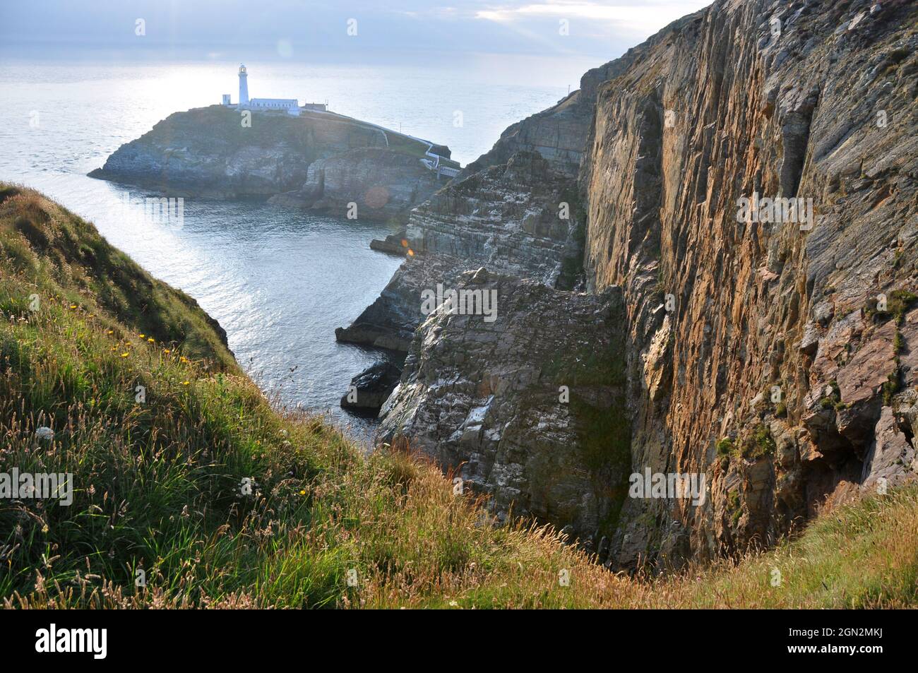 South Stack, Holy Island, Anglesey, Wales, an important RSPB reserve ...