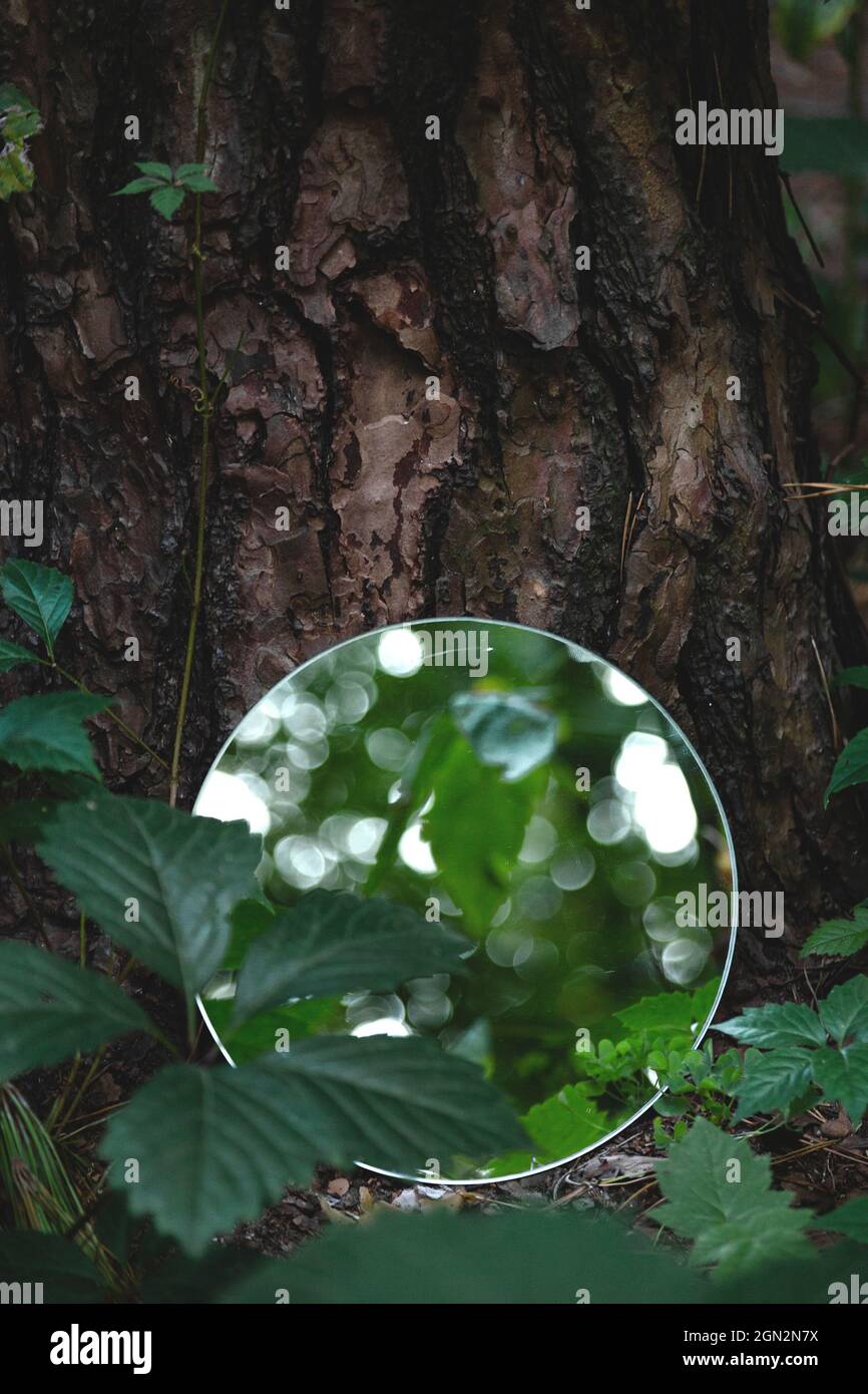 Round mirror in dark green forest. Abstract trendy image, close to ...