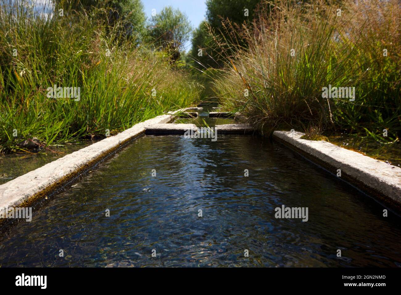 Clean drinking water flowing from the mountain. Stone water trough ...