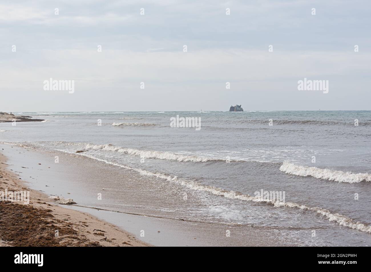 Storm sea sand beach is a neutral color. Natural background in beige ...