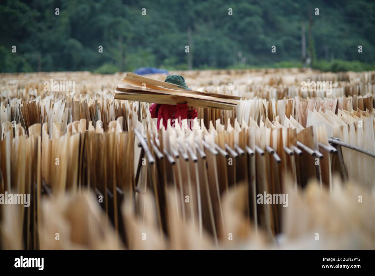 Paper Factory In Ha Giang Province Northern Vietnam Stock Photo Alamy paper-factory-in-ha-giang-province-northern-vietnam-stock-photo-alamy