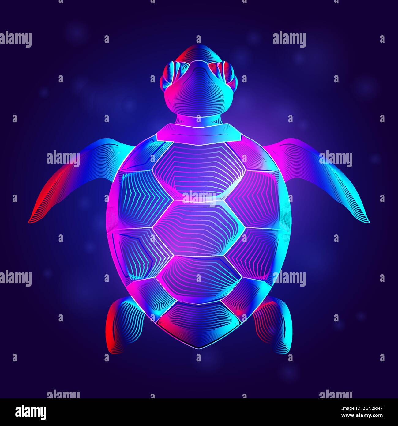 Top view turtle swimming Stock Vector Images - Alamy