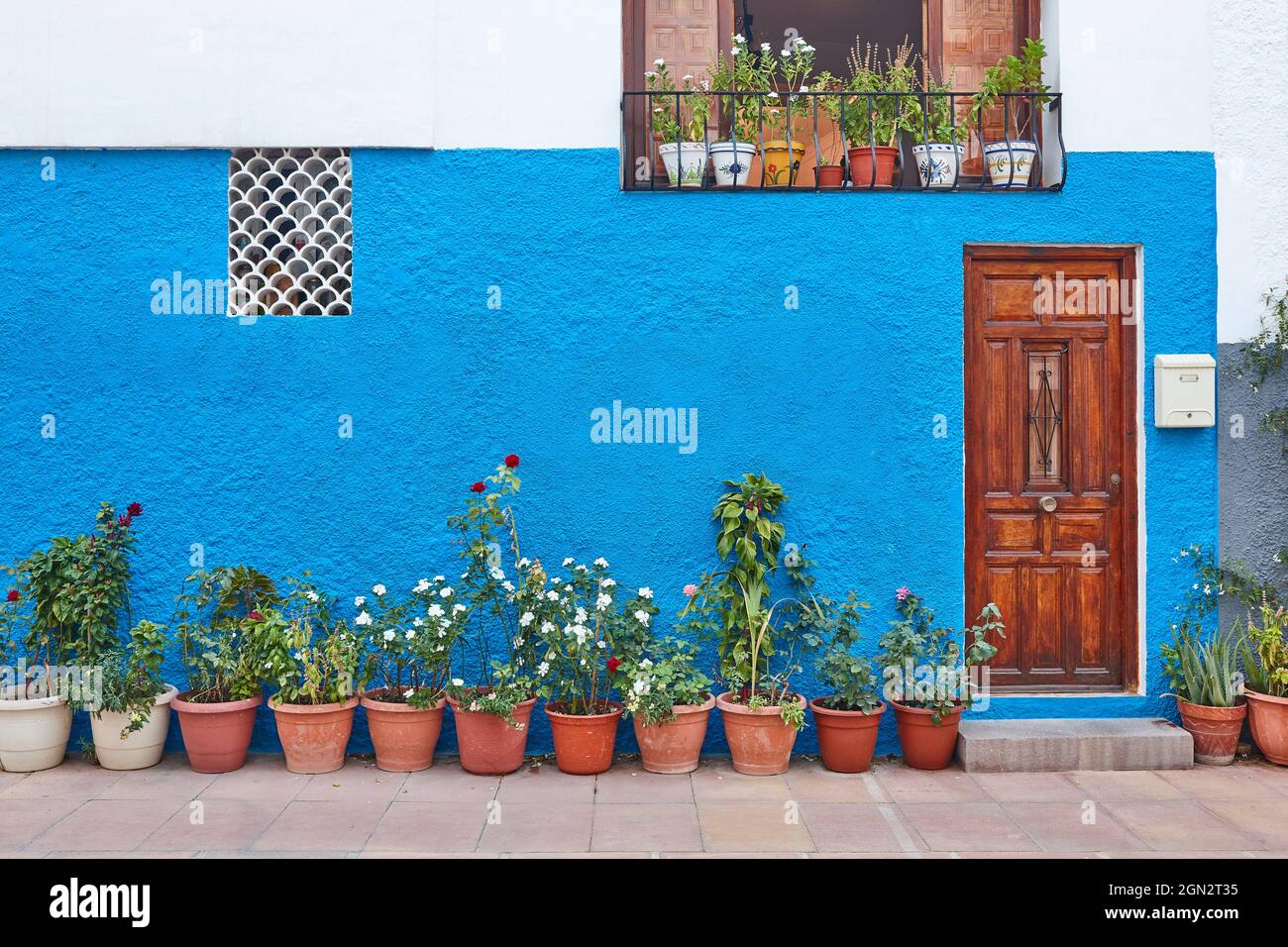 Blue and white traditional building facade decorated with plants ...