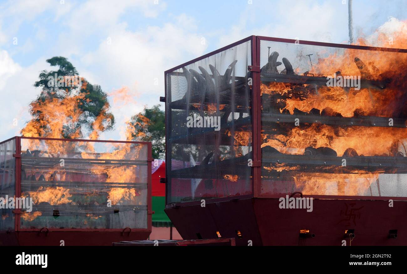 Rhino horns burn hi-res stock photography and images - Alamy