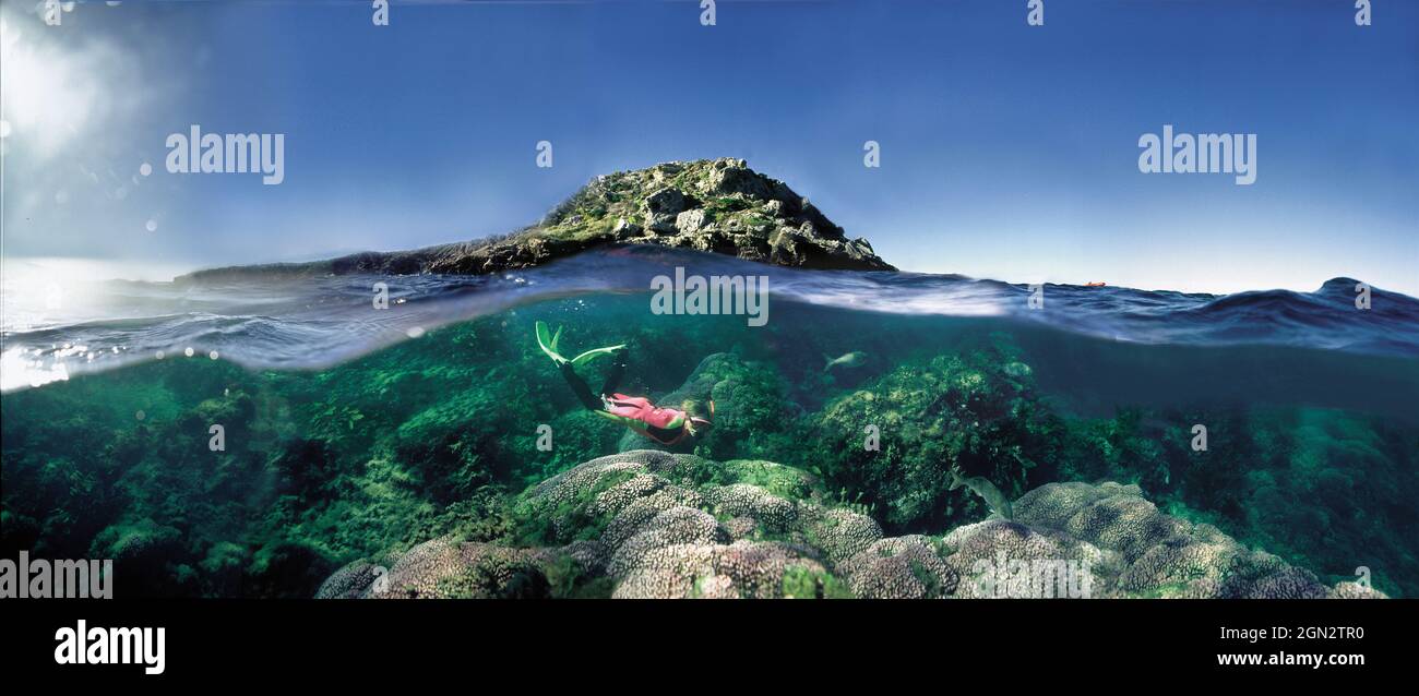 Split level view of snorkeller swimming above coral reef. Rottnest ...