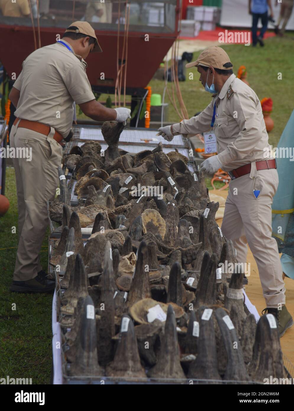 Rhino horns burn hi-res stock photography and images - Alamy