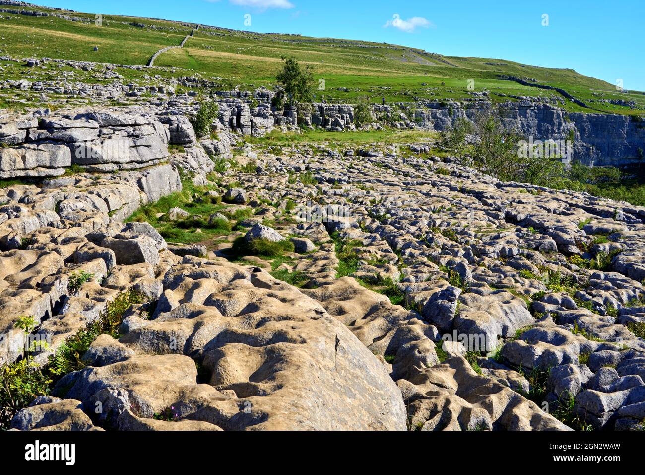 Malham cove limestone pavement in the North Yorkshire Dales National ...