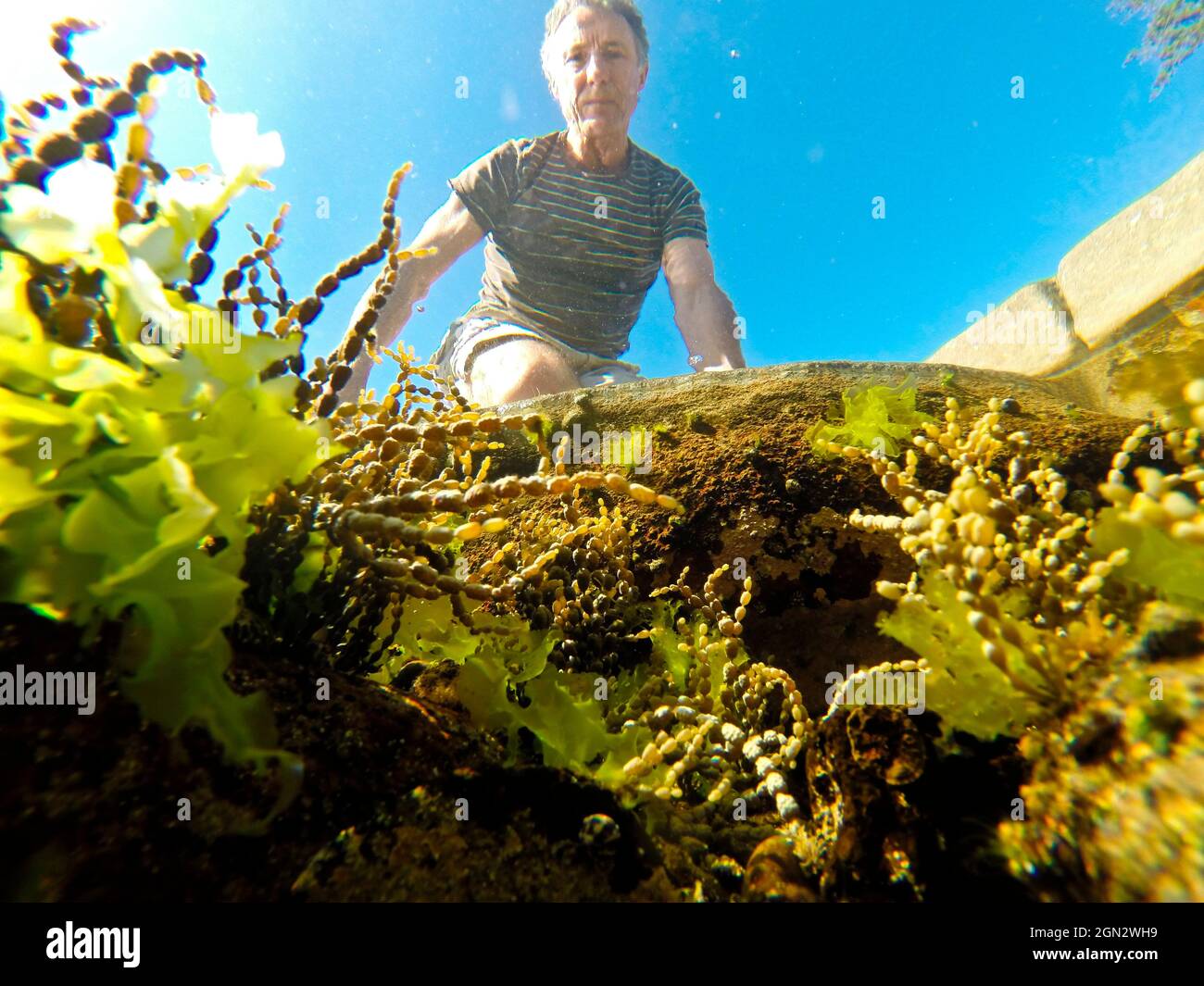 Man peering hi-res stock photography and images - Alamy