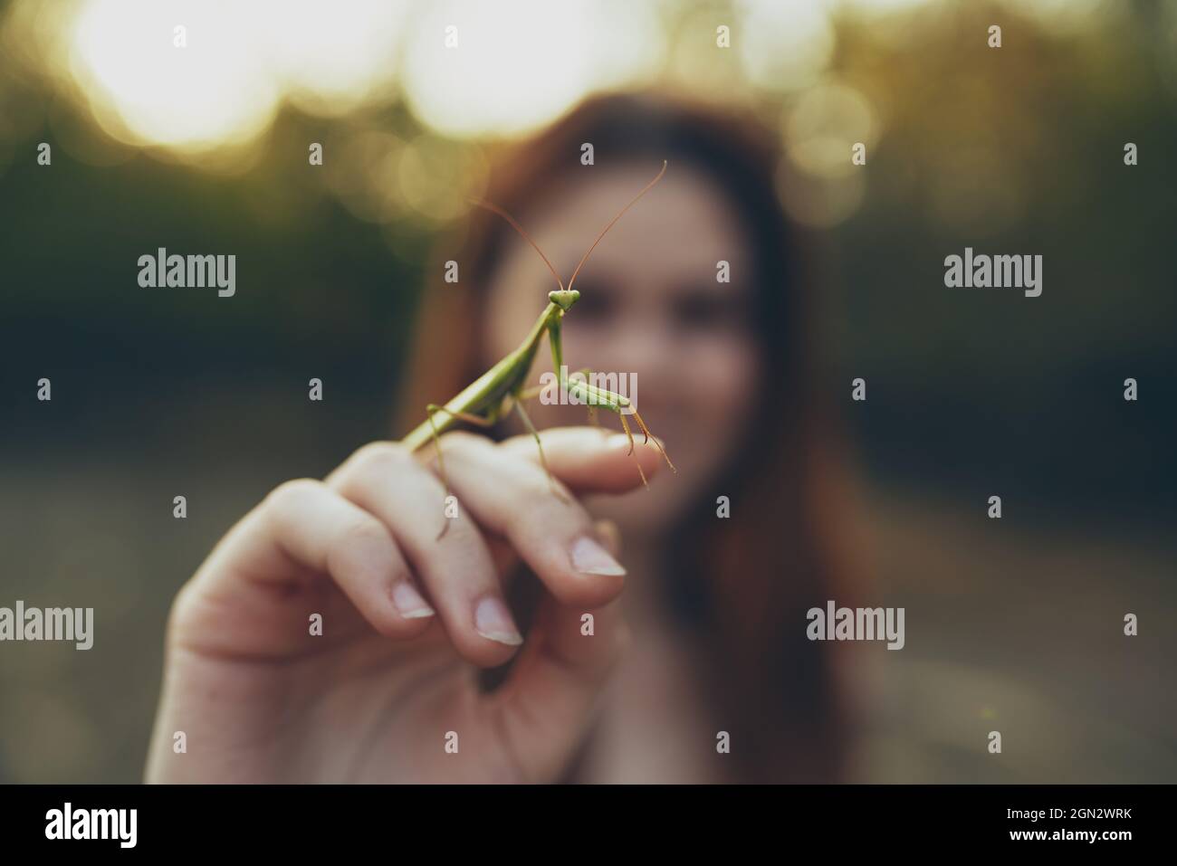 woman in white dress with a praying mantis in hand close-up Stock Photo ...