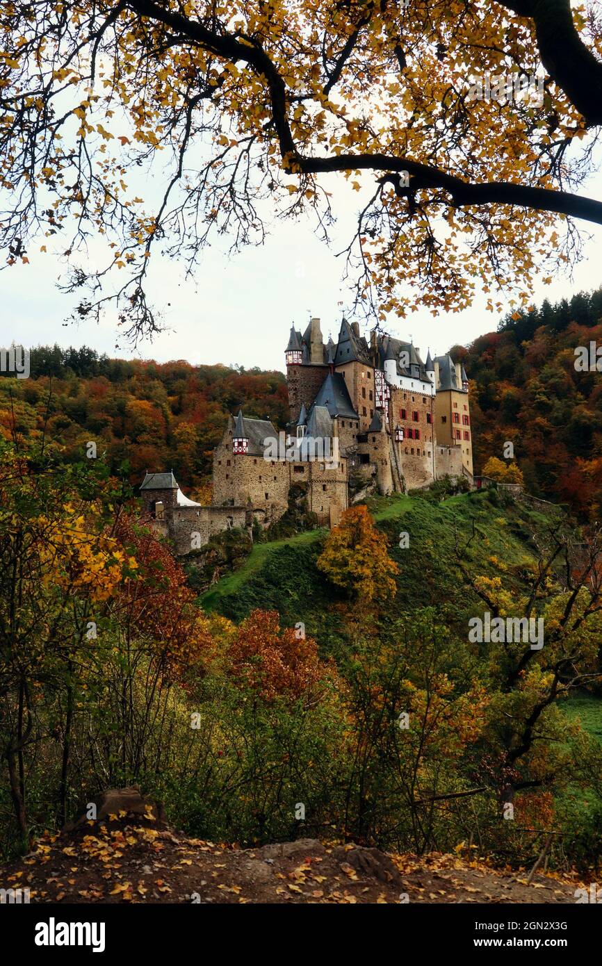 Beautiful, colorful fall colors in the forest around Eltz Castle on a ...
