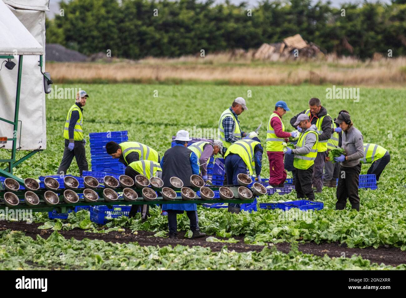 Mostly of landscapes hi-res stock photography and images - Alamy