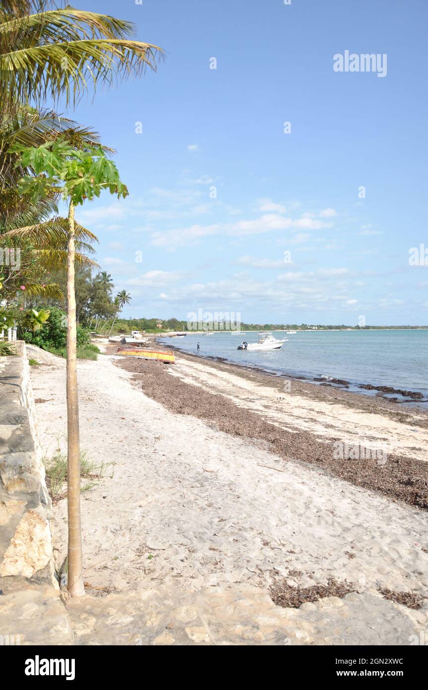 Stunning scenery, Inhambane Coast, Vilanculos, Mozambique Stock Photo ...