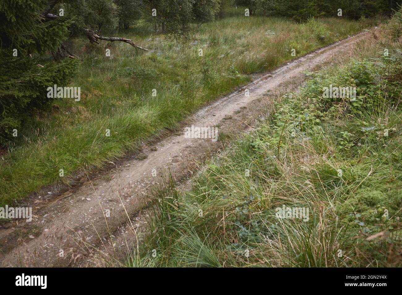Off road track in the landscape Stock Photo - Alamy