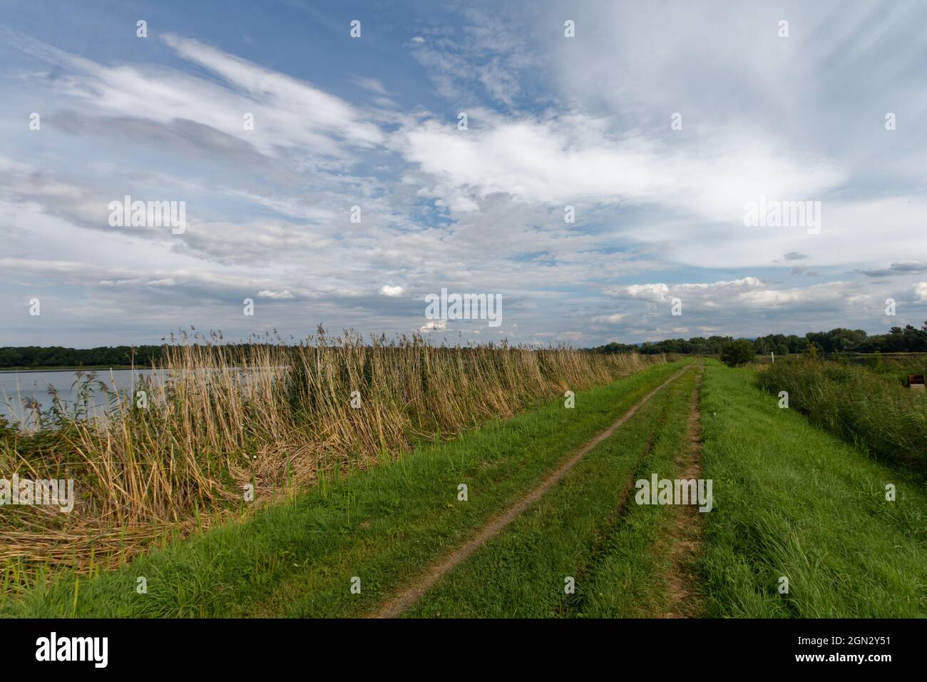 Wetlands downstream the dam and water reservoir Stock Photo - Alamy