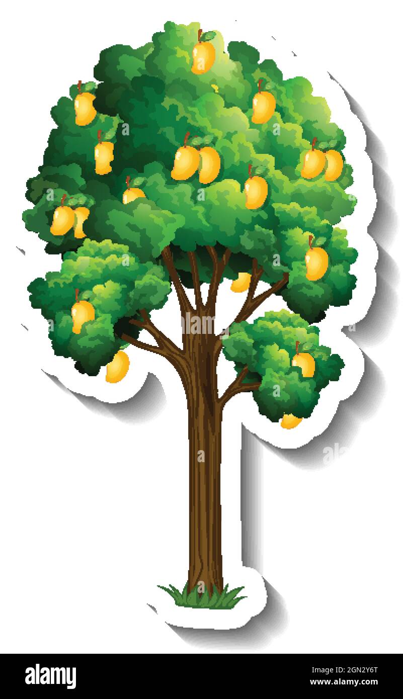 Mango tree sticker on white background illustration Stock Vector Image ...
