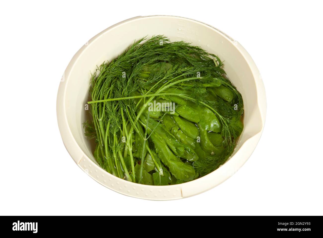 Cress garnish Cut Out Stock Images & Pictures - Alamy