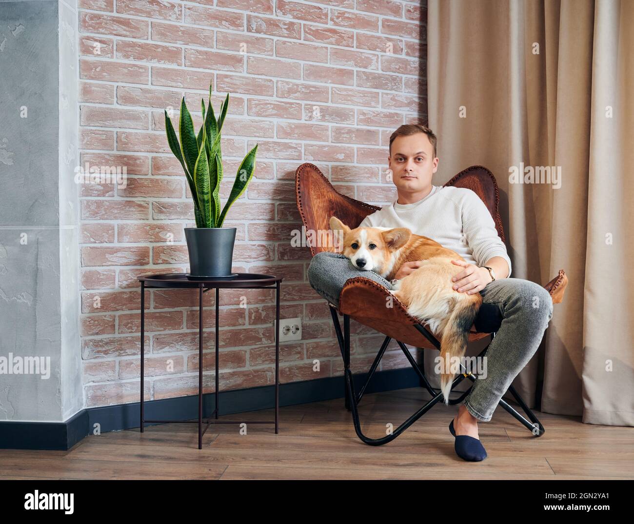 Man dog inside chair hi-res stock photography and images - Alamy