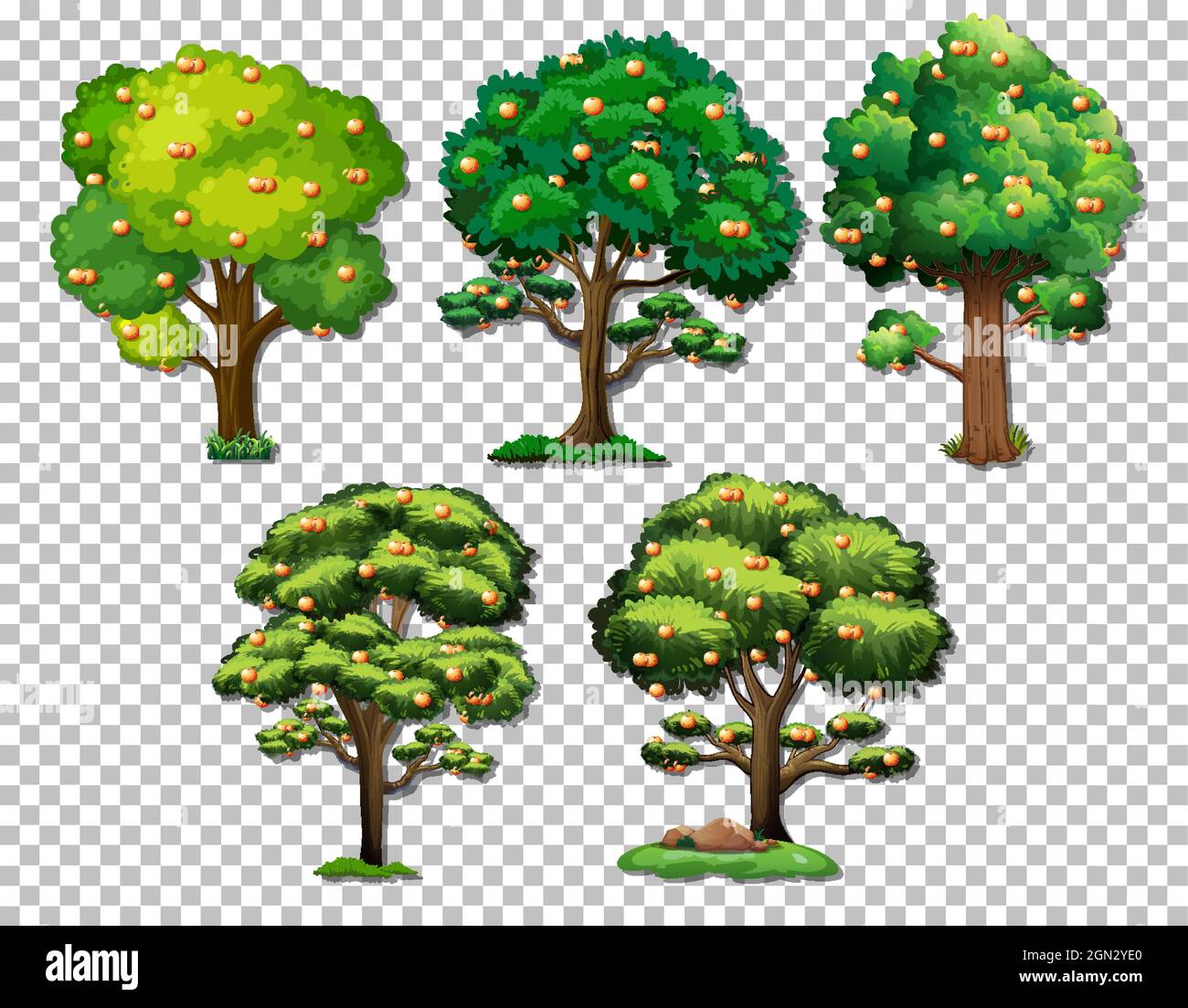 Set of various trees on transparent background illustration Stock ...