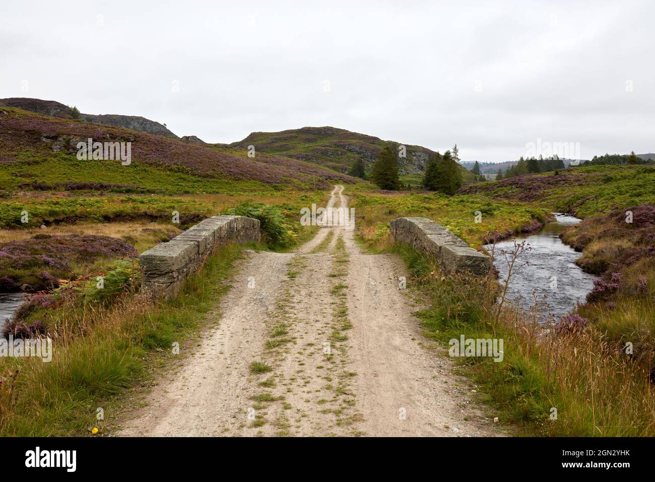 Off road track in the landscape Stock Photo - Alamy