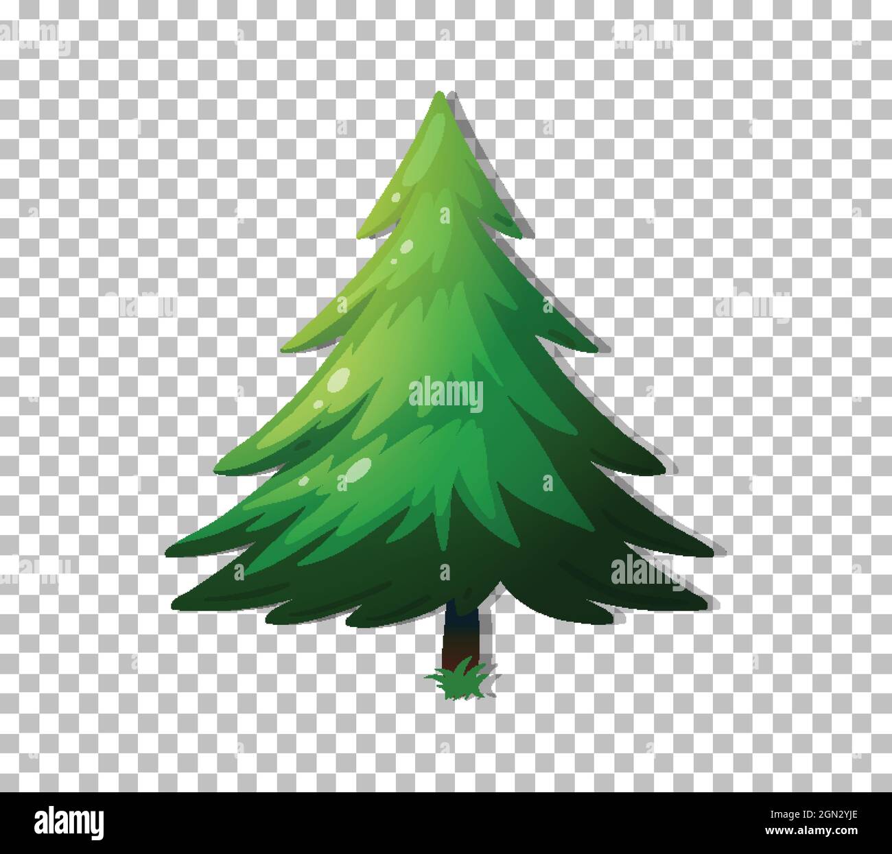 Evergreen tree isolated on transparent background illustration Stock ...
