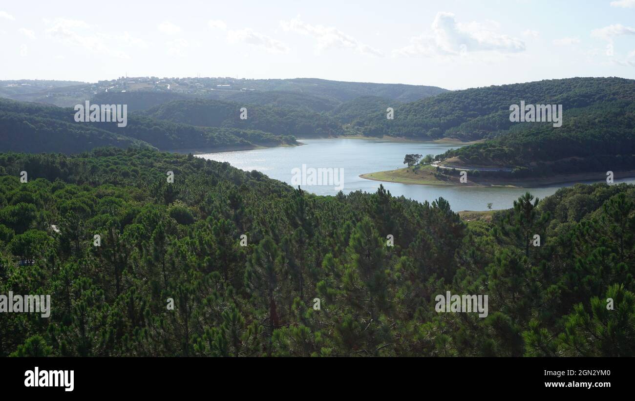 Forest and lake view from above Stock Photo - Alamy
