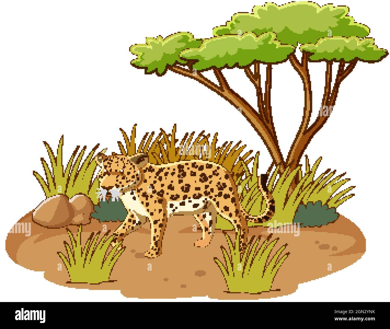 Leopard in savannah forest on white background illustration Stock ...