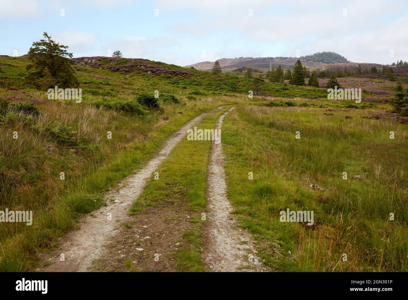 Off road track in the landscape Stock Photo - Alamy