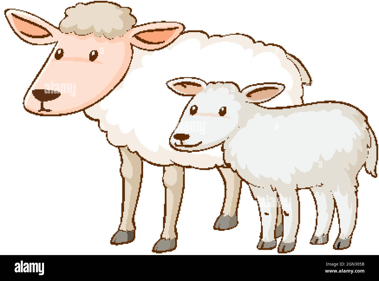 Mother and baby sheep cartoon on white background illustration Stock ...