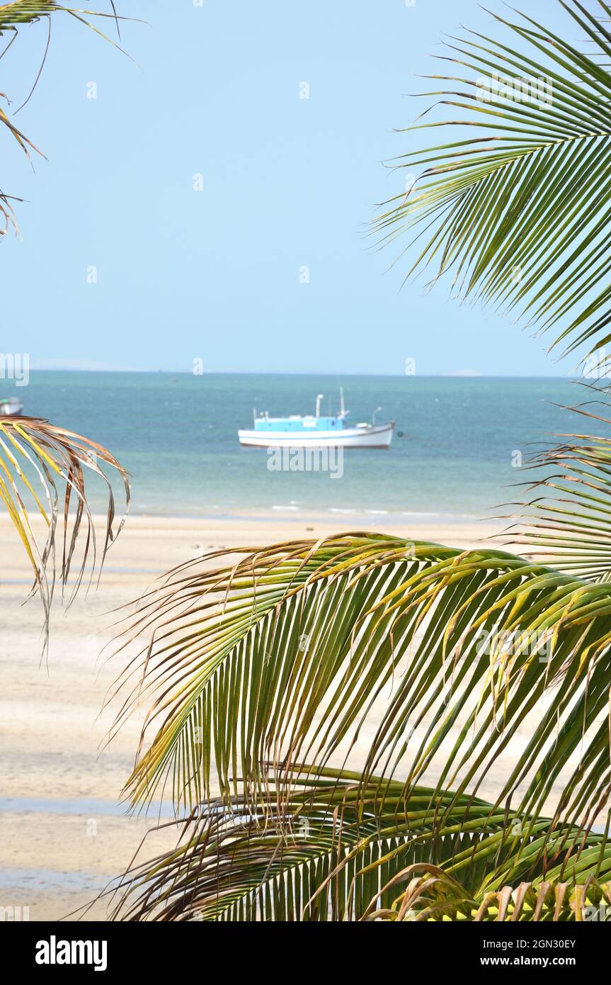 Stunning scenery, Inhambane Coast, Vilanculos, Mozambique Stock Photo ...