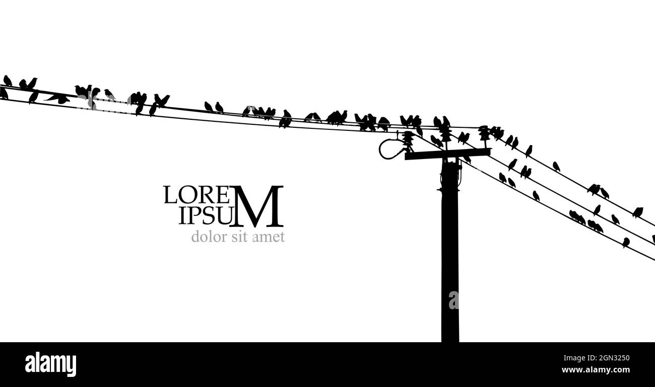 Birds on wires. Vector illustration Stock Vector Image & Art - Alamy