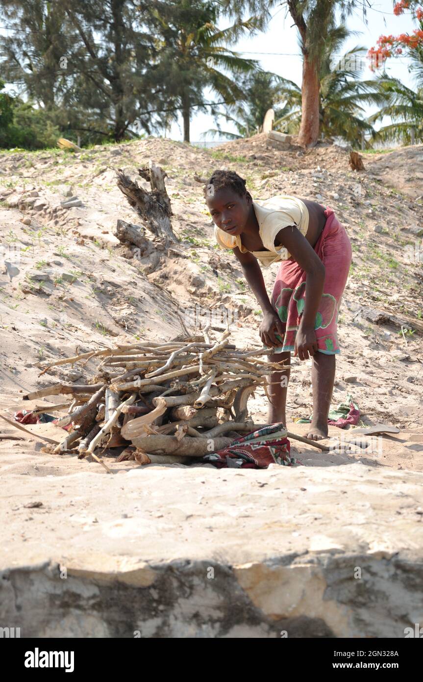 Collecting firewood africa hi-res stock photography and images - Alamy