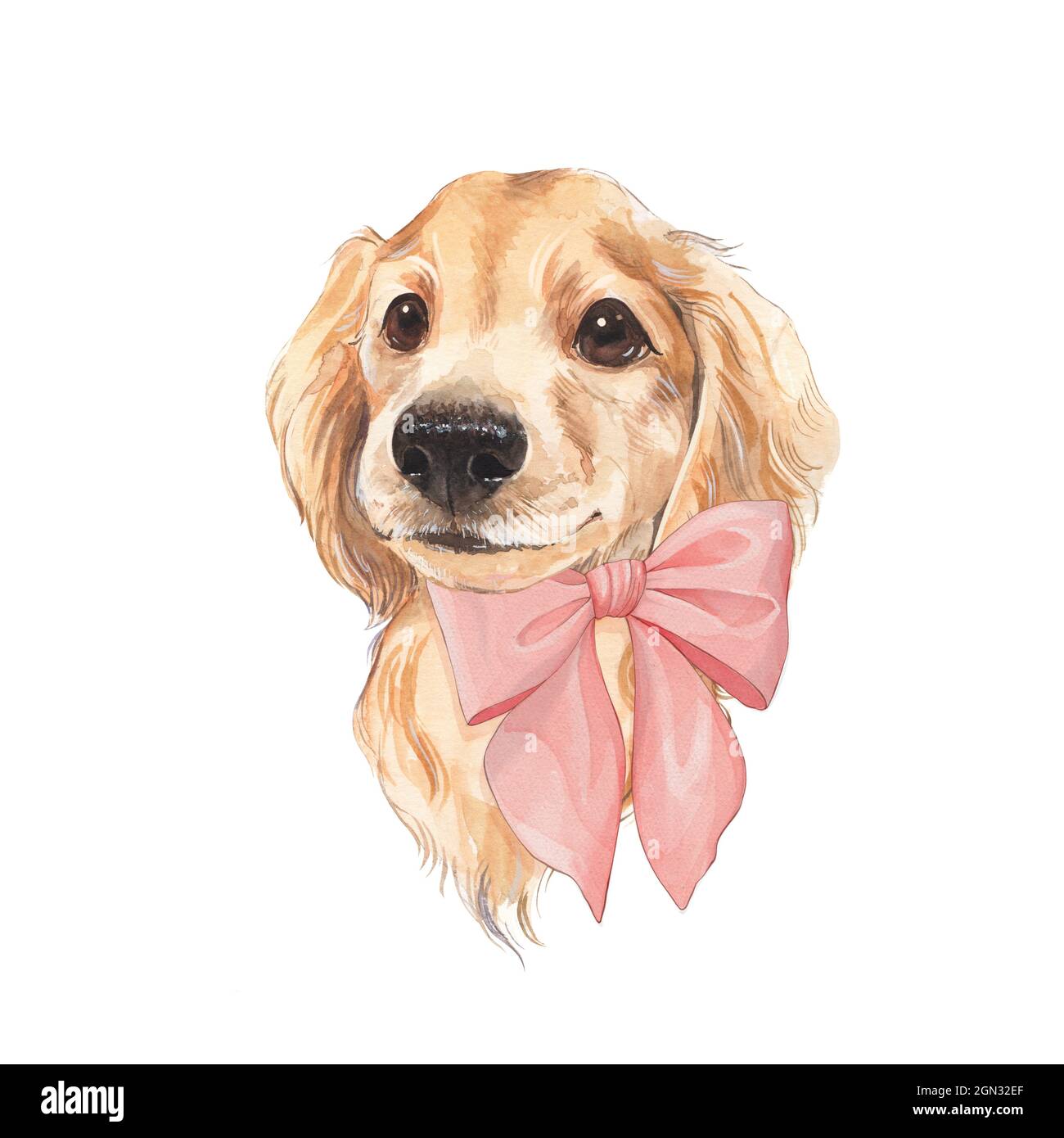 Girl dog bow Cut Out Stock Images & Pictures - Alamy
