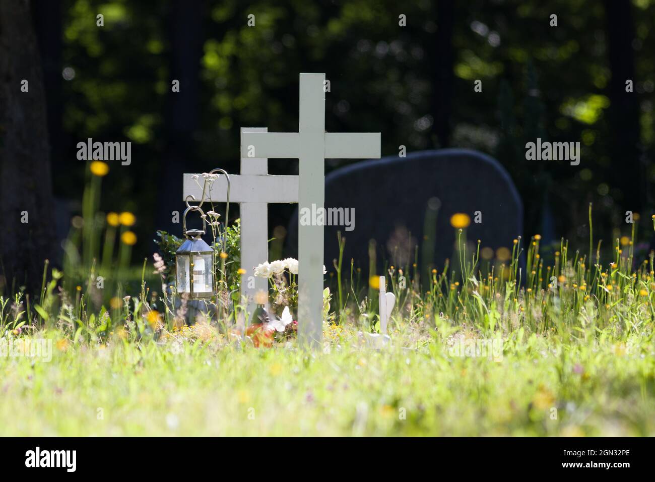 Two white crosses on a cemetery in a meadow Stock Photo - Alamy