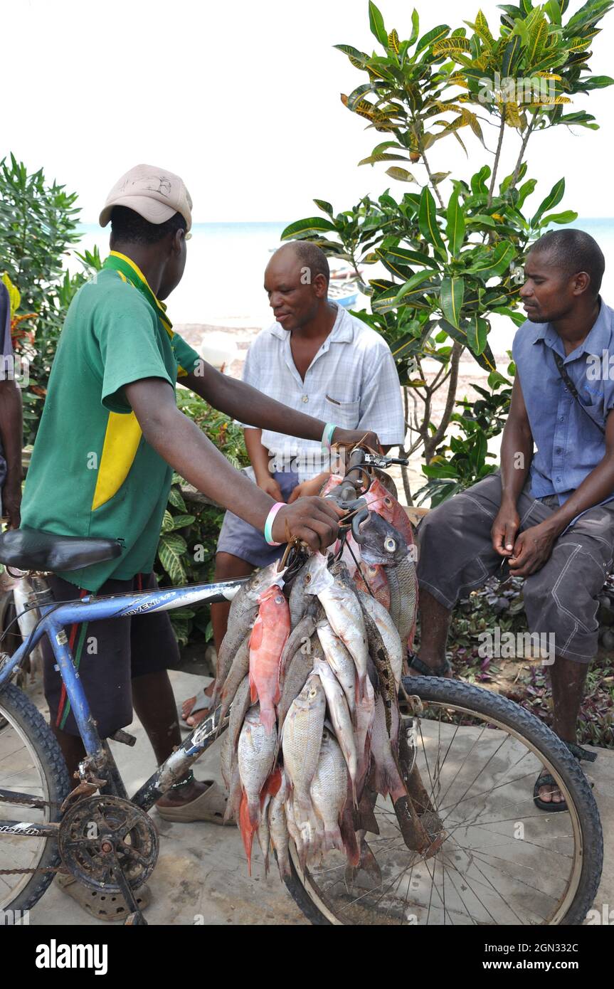 Mozambique fish hi-res stock photography and images - Alamy