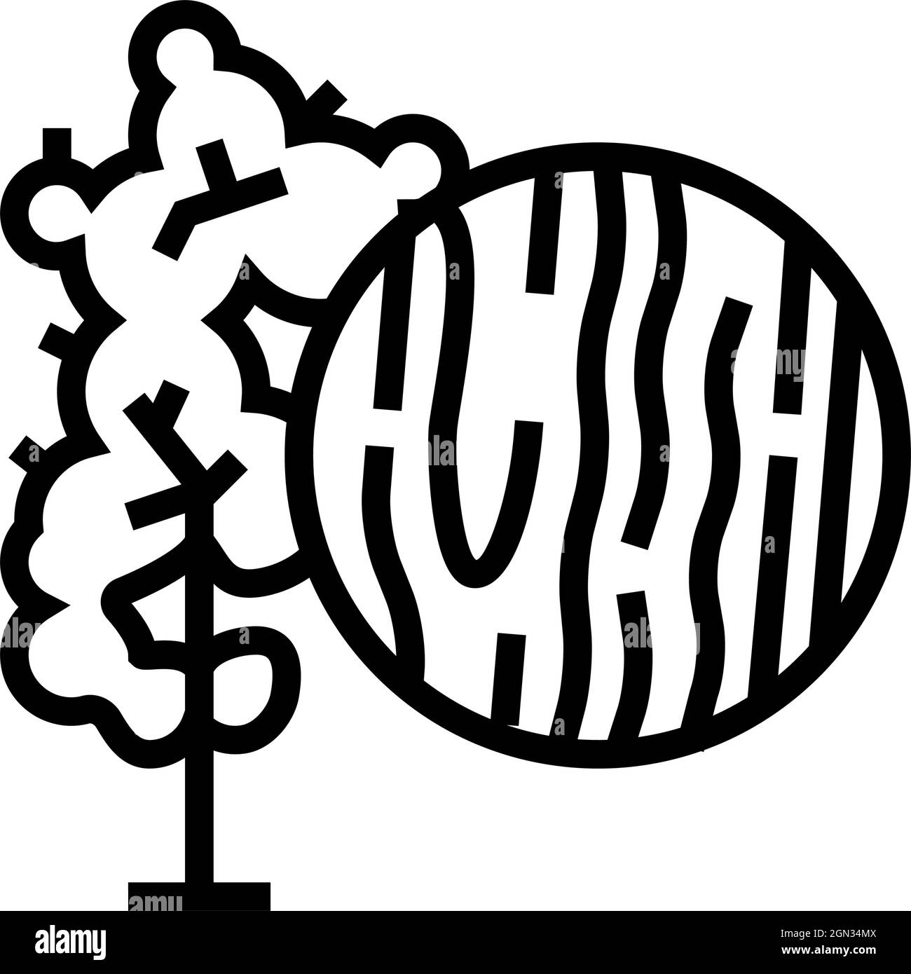 Mahogany forest Black and White Stock Photos & Images - Alamy