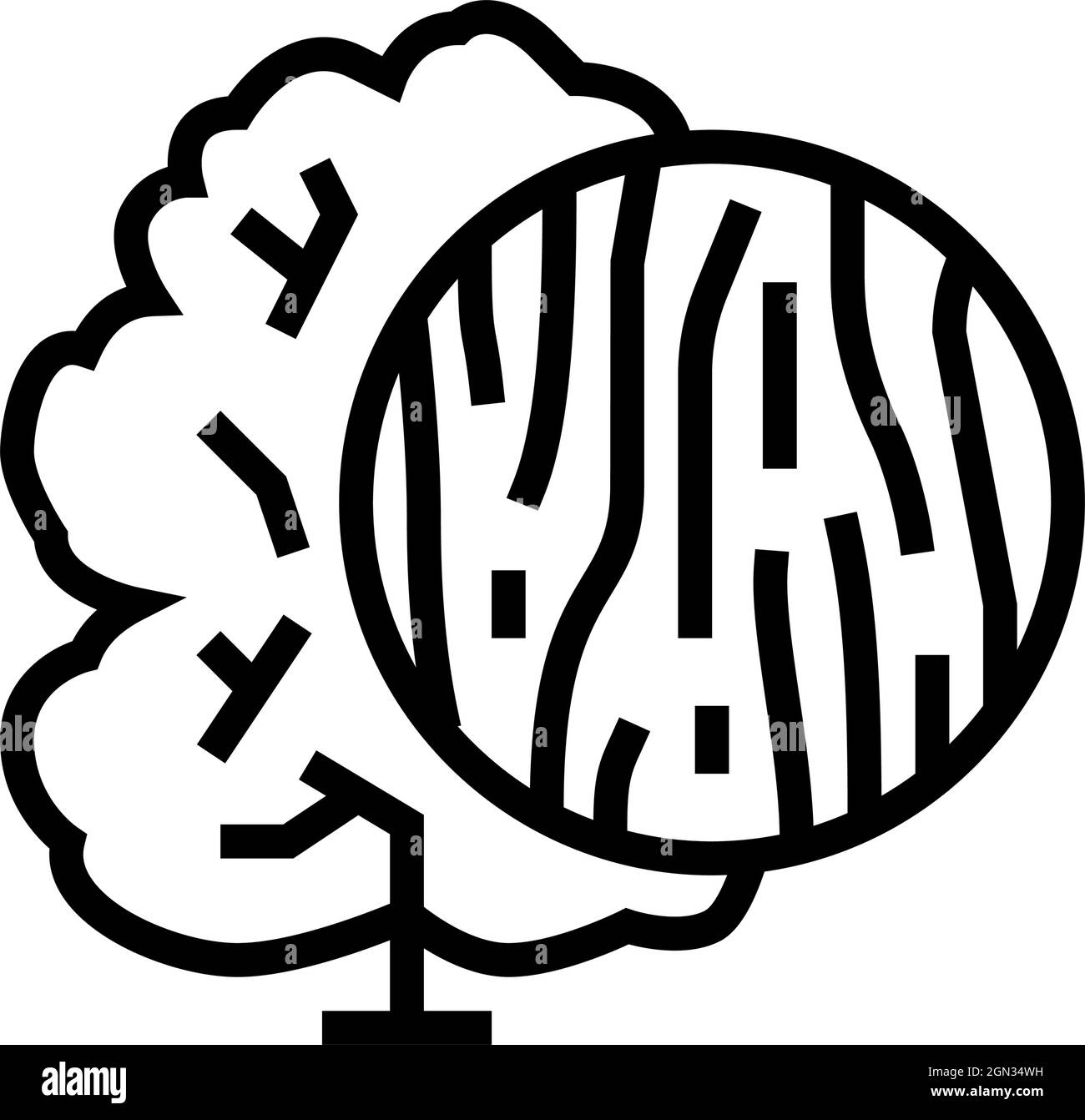 Rose ash Black and White Stock Photos & Images - Alamy