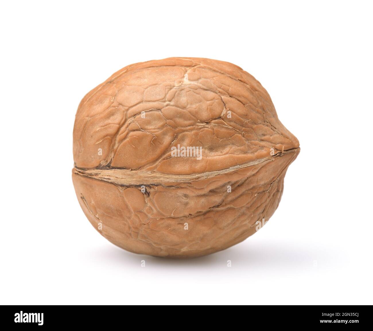 Side view of single whole walnut isolated on white Stock Photo - Alamy