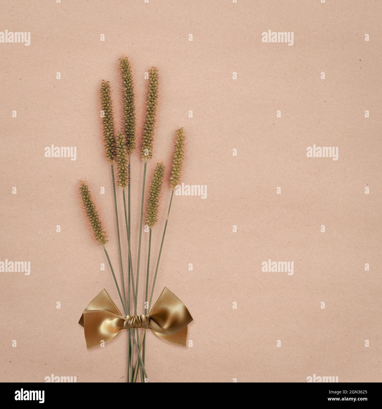 Bouquet of dry field plants on pastel background with copy space Stock ...